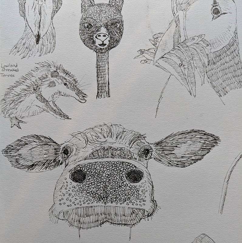 LinsArt: Ink Drawings and Doodlewash