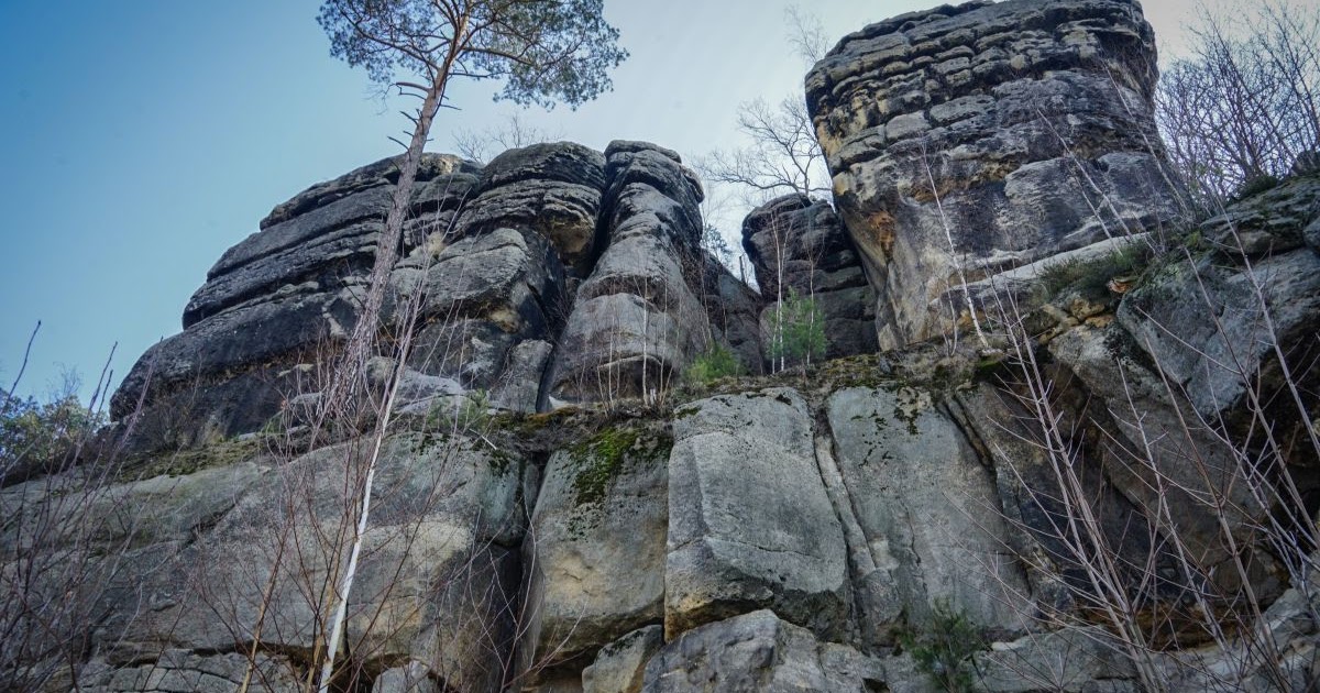Szwajcaria Lwówecka, Ostrzyca Proboszczowicka, Organy Wielisławskie ...