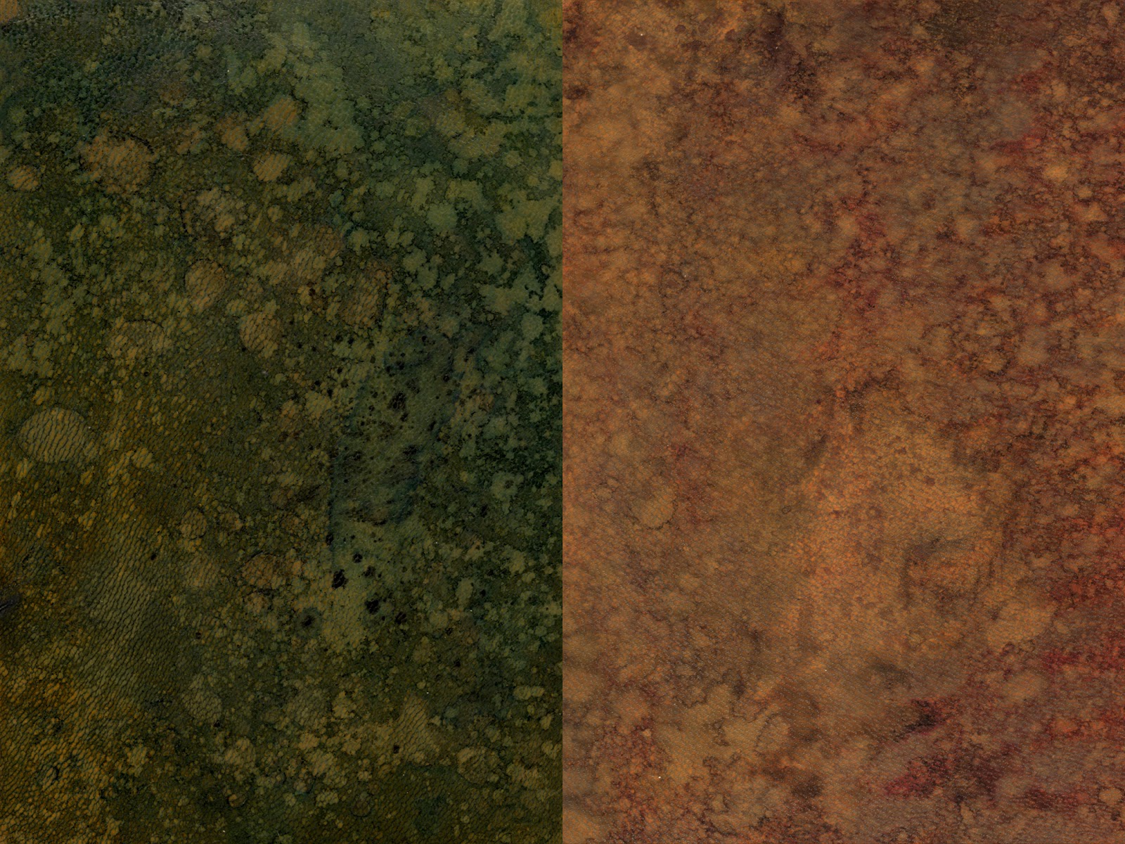 Bookbinder's Chronicle: Mottling / Marbling / Dyeing leather