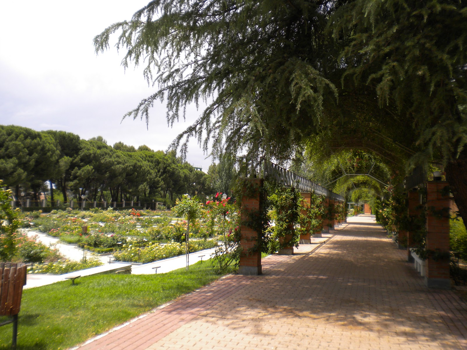 DÓNDE ESTÁN LAS LLAVES?!?: La Rosaleda del parque del Oeste está ahora ...