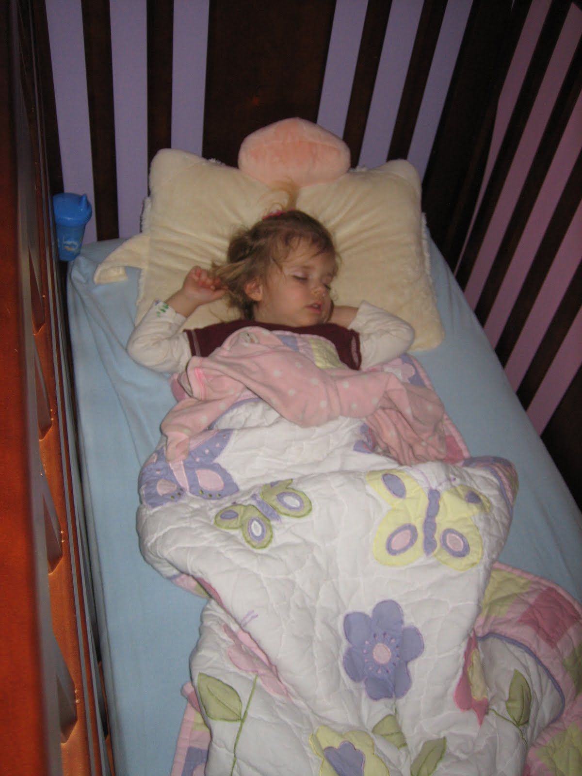 Isabel And Josiah Island Big Girl Bed