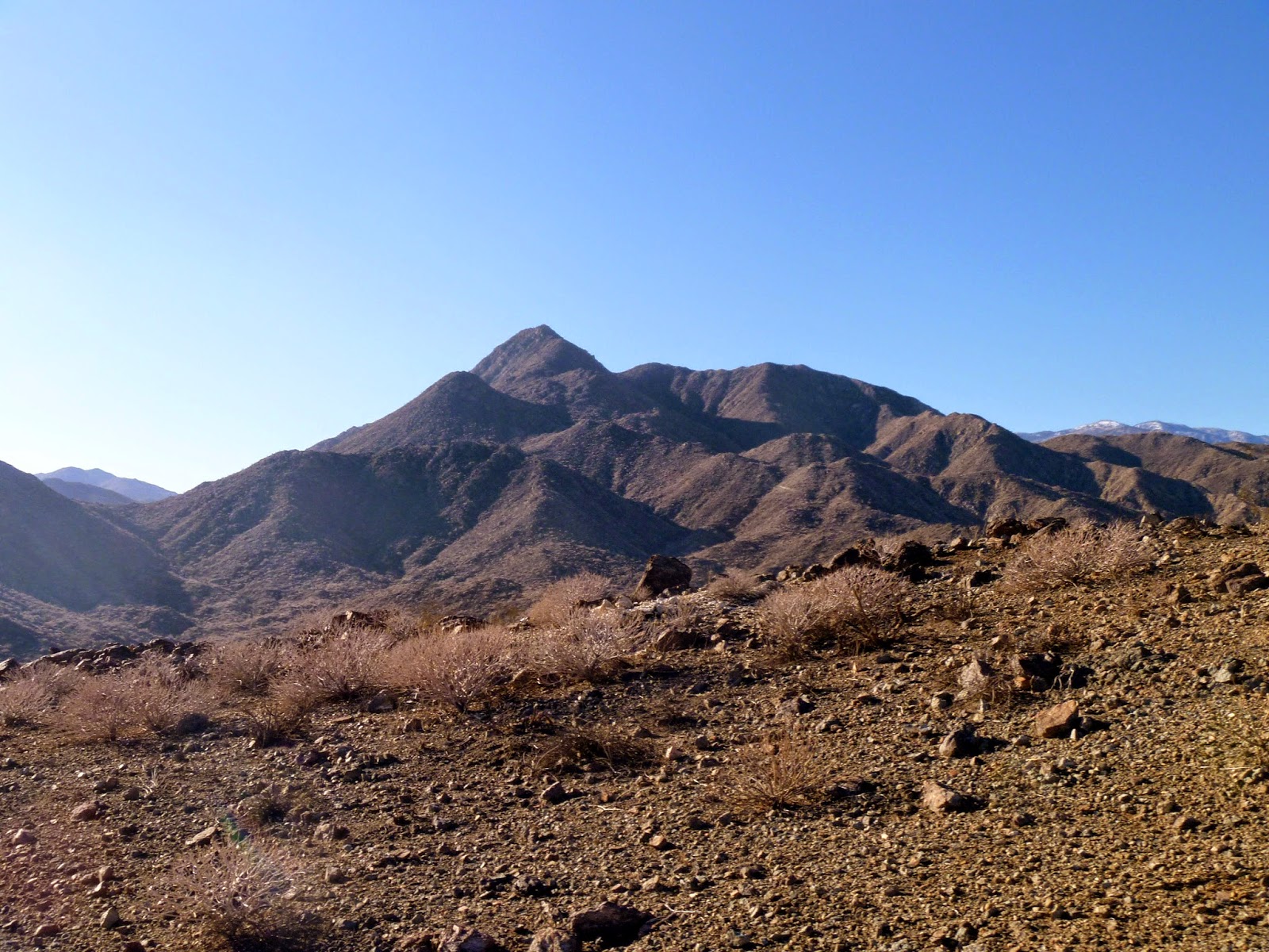 Junkel Retired and Loving It