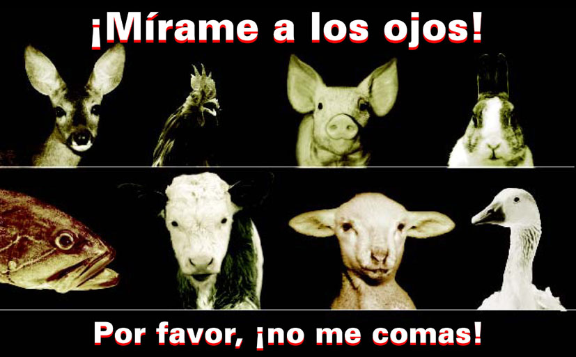 DEJAR DE COMER CARNE Y PESCADO...TIENEN ANTIBIOTICOS Y QUÍMICOS. COMER ...