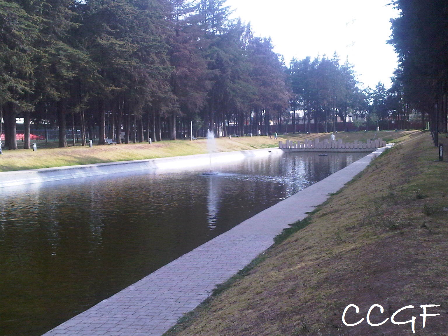 Viviendo en Toluca: Parque Bicentenario