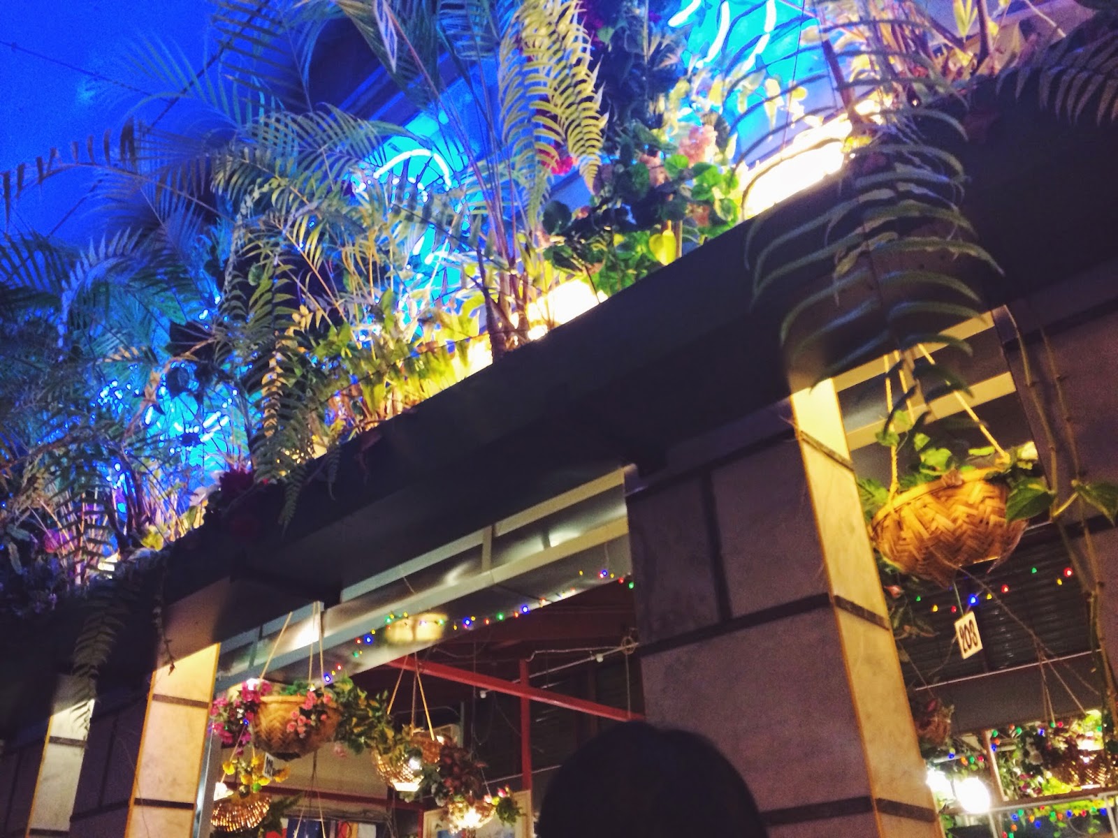 ANNIED SOME LIFE: // BEACH BEB + A WILD ANHIMAL