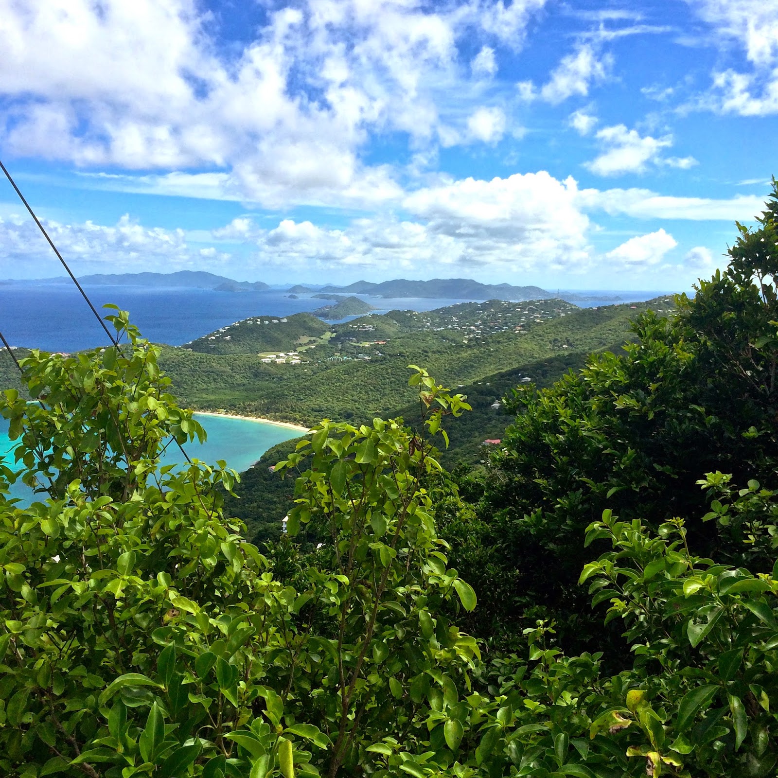 Tree Limin' Extreme: Tree Limin' Extreme is Going Green: Part 1 "Eco-Facts"