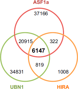 Placing the HIRA Histone Chaperone Complex in the Chromatin Landscape