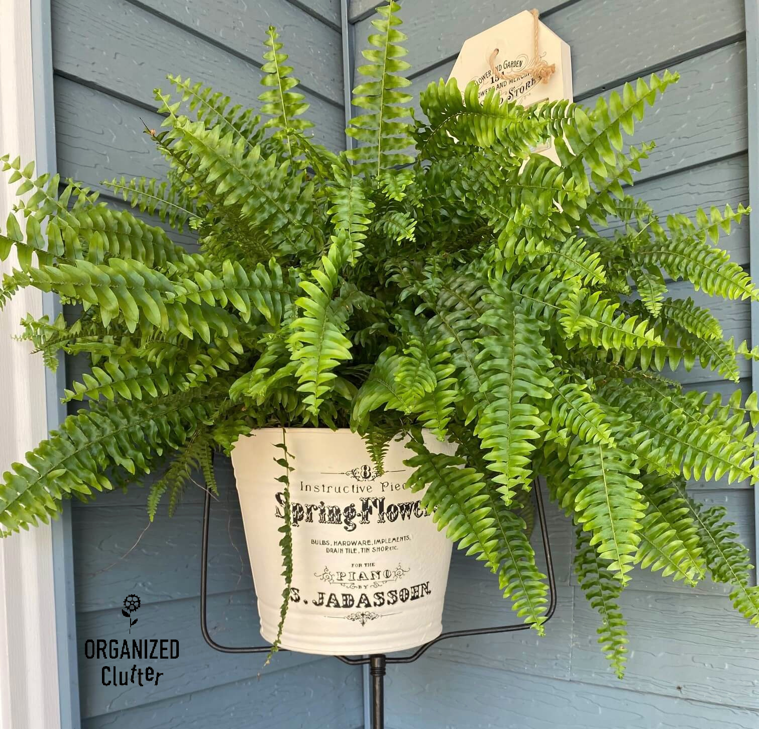 June & July Garden Before Photos and August Afters - Organized Clutter