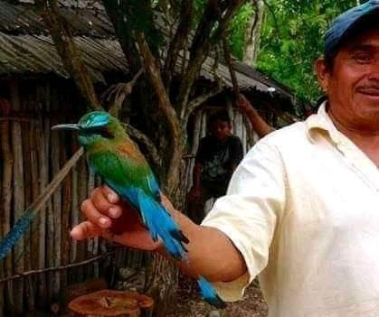 Municipio de Cacalchén: EL PÁJARO TOH