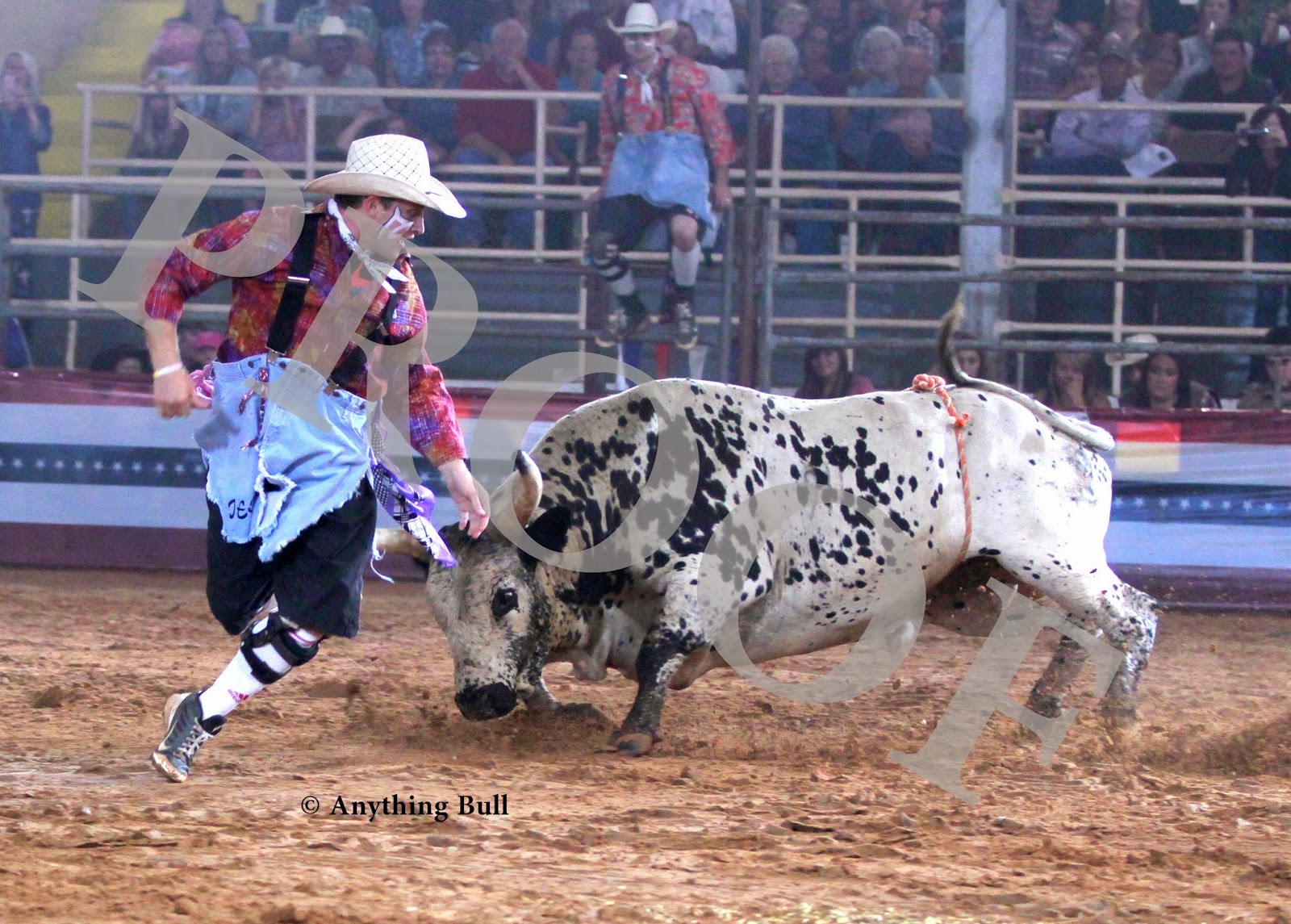 Anything Bull or Rusty: Friday Round 1 - Chuck Swisher