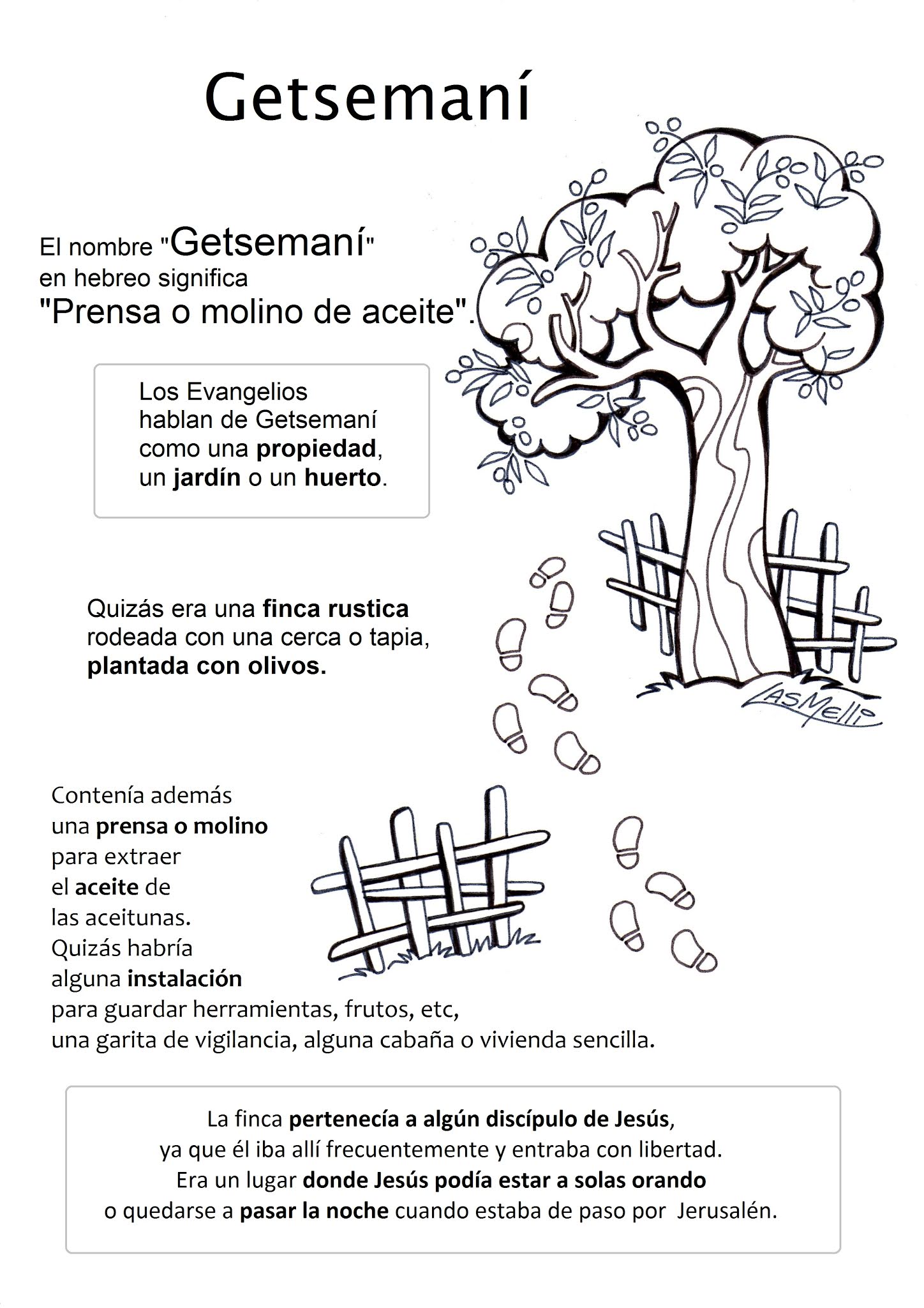 DICCIONARIO ILUSTRADO: Getsemaní - Educacion Religiosa