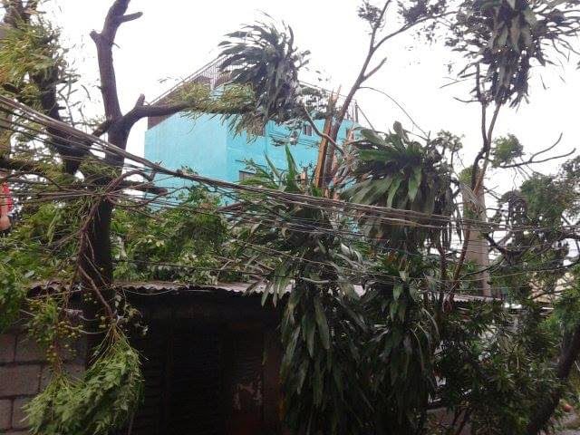 Journey to Euphoria: Signal Number 3