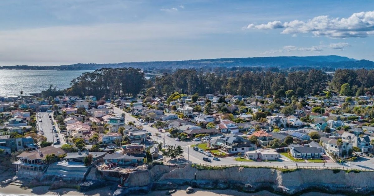 Forestdweller: Pleasure Point