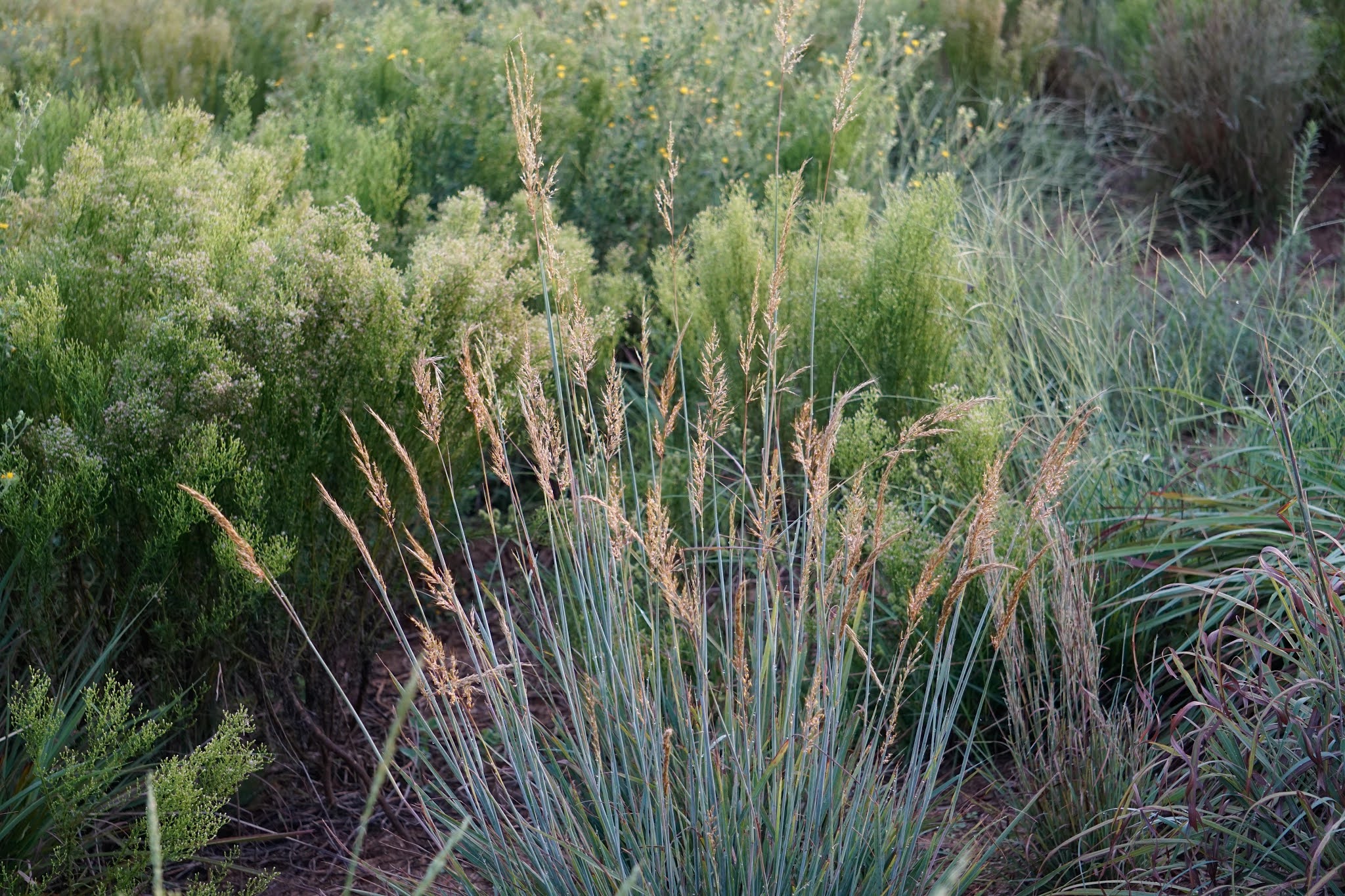 The Journey Continues: 09/01/2020 - 10/01/2020