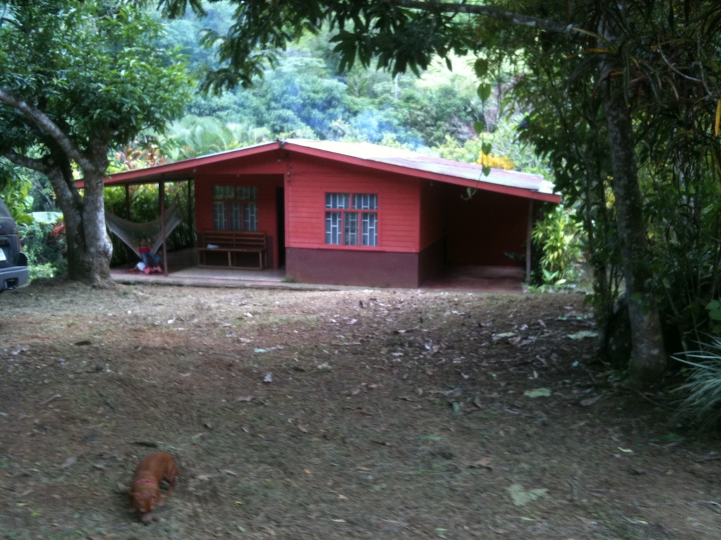 Welcome to the Chayotevine!: Amazing Properties for Sale in the ...