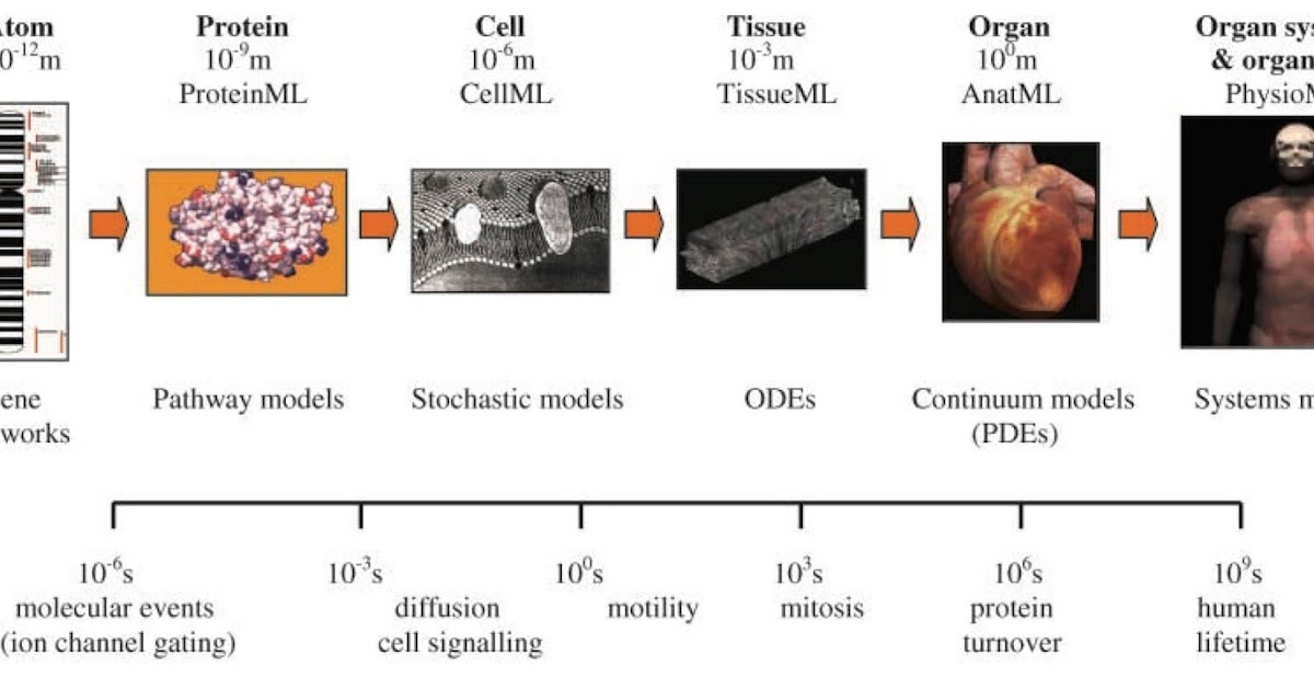 Condensed concepts: Emergence in biology