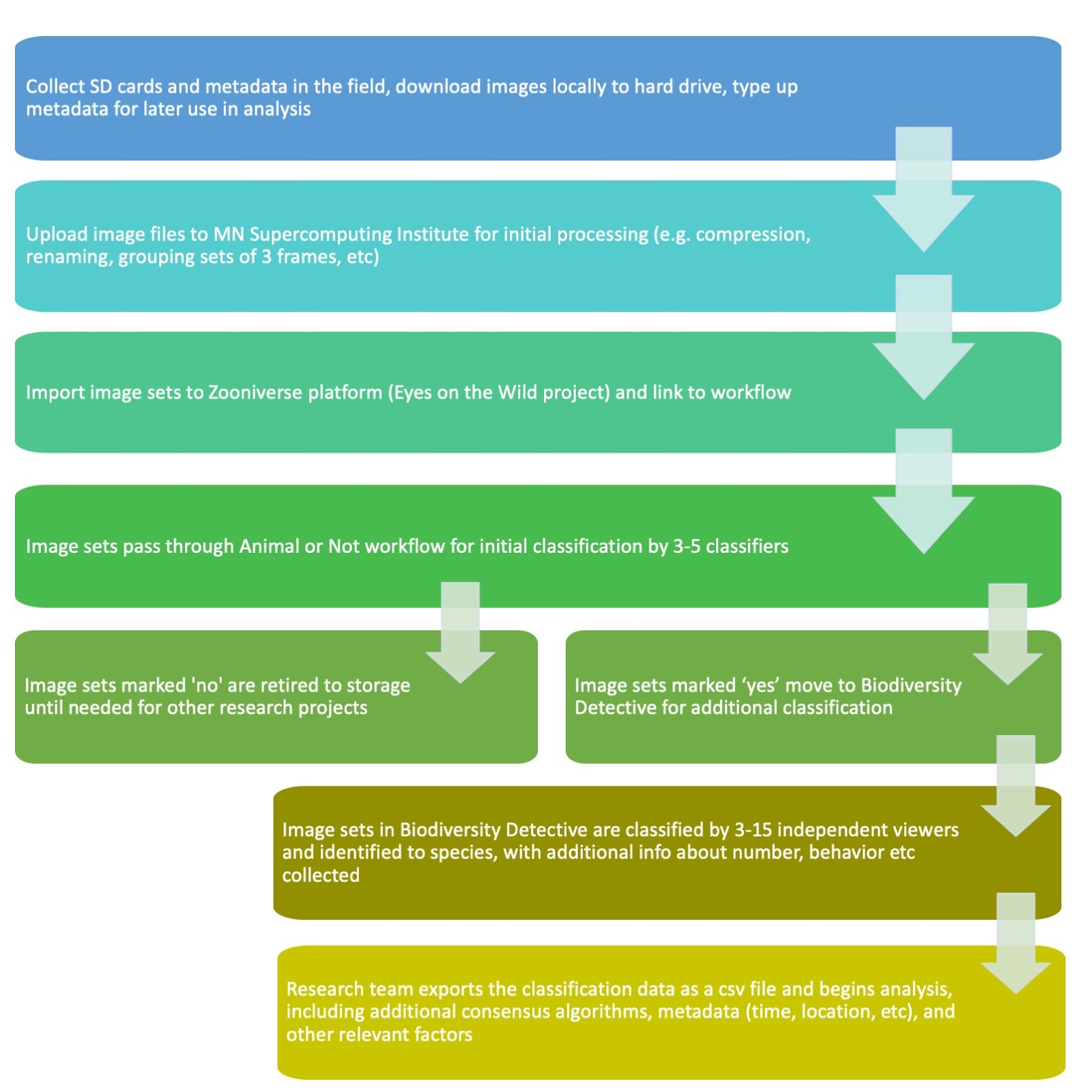 Workflows and sequencing