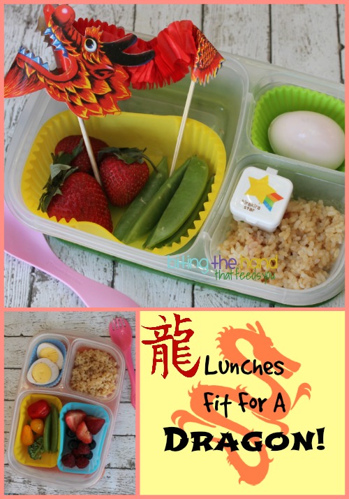 Biting The Hand That Feeds You: Bento Lunches Fit for a Dragon!