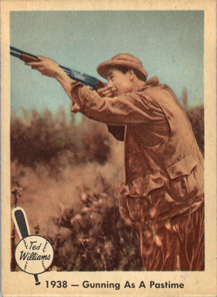 Bob Lemke's Blog: Ted Williams: Game Violator