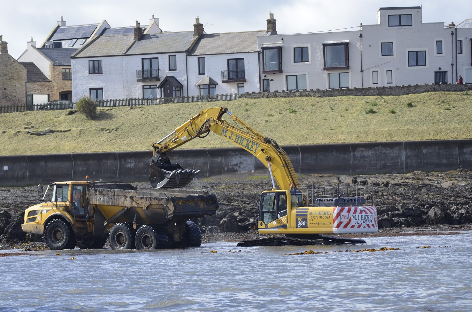 Big Diggers - Serenity Farne Islands Boat Tours and Trips