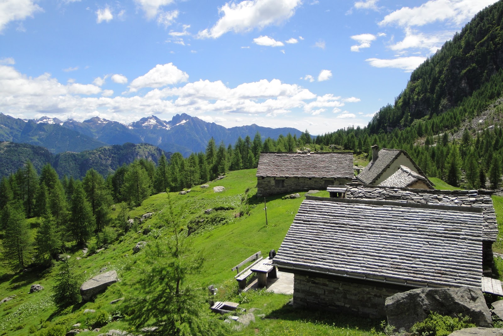 Alpe Cross: Alpi di Albiona - (Val Divedro)
