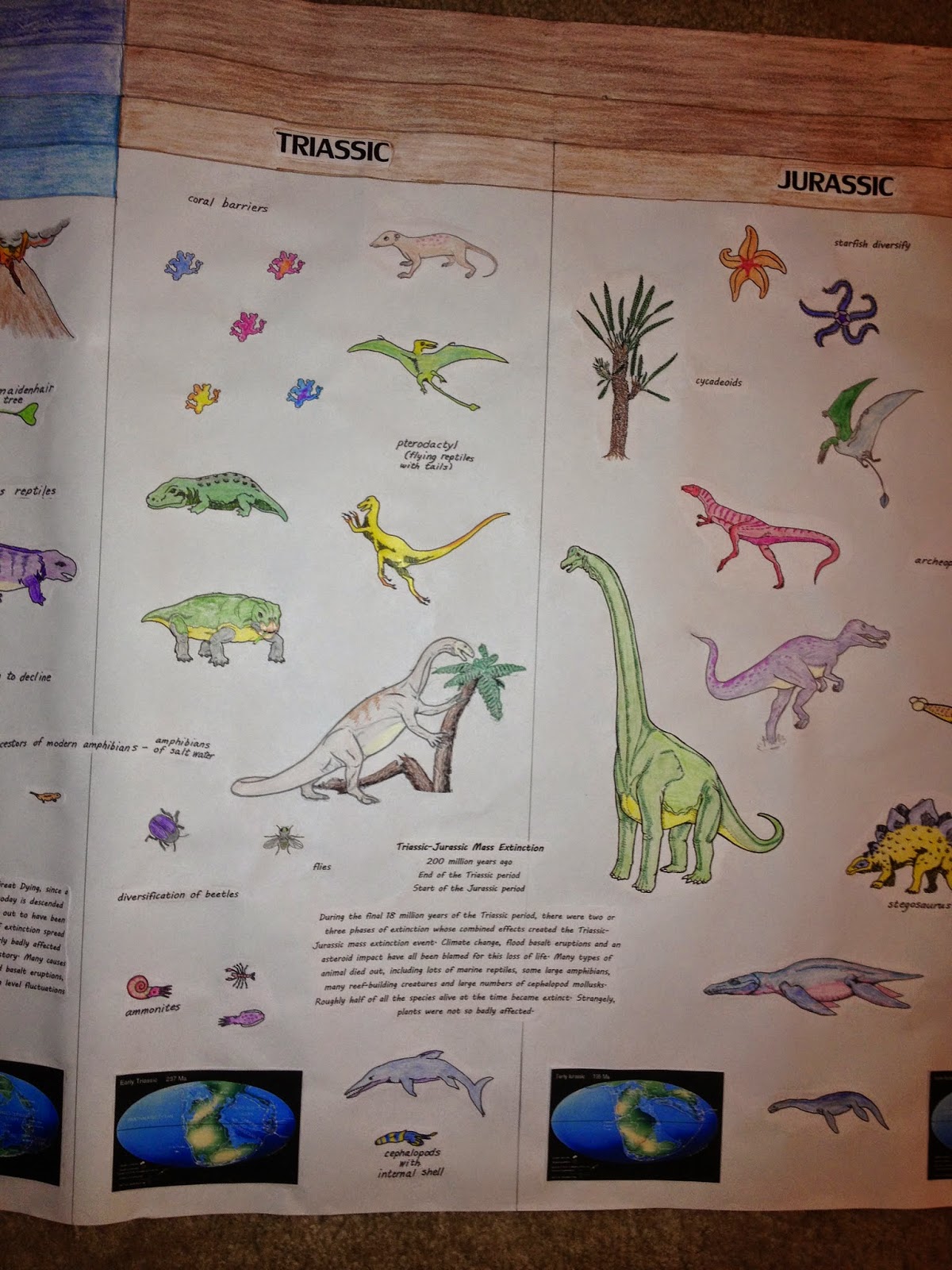 The Reasons of Things: Montessori Upper Elementary: The Timeline of ...