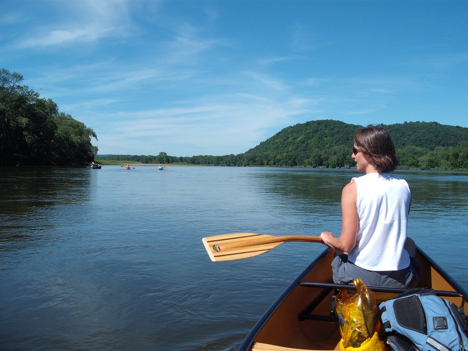 The River Rat: No need to re-plumb MN and WI to stop Asian carp