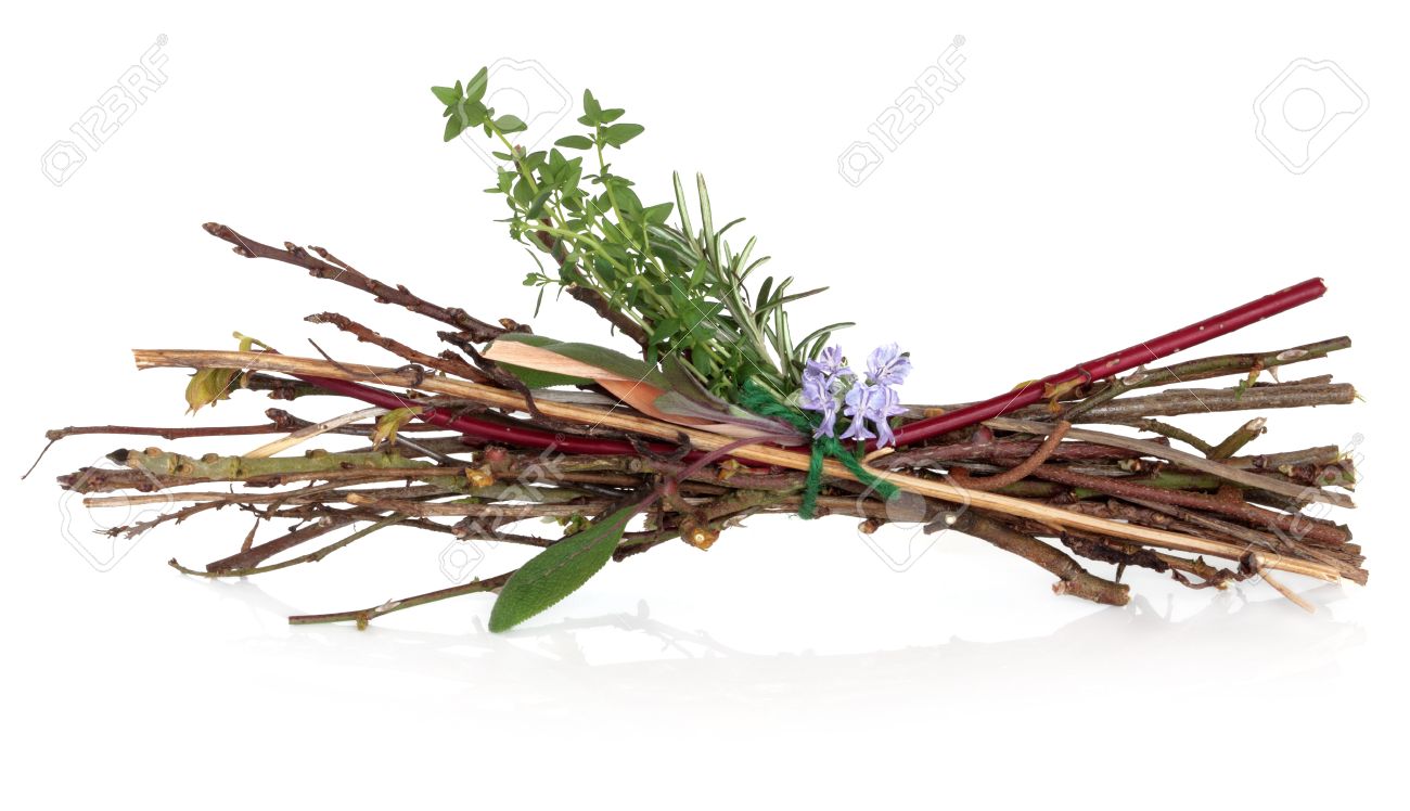 Script and Spirit: Parshat Tazria-Metzora: A Cure-ious Bouquet