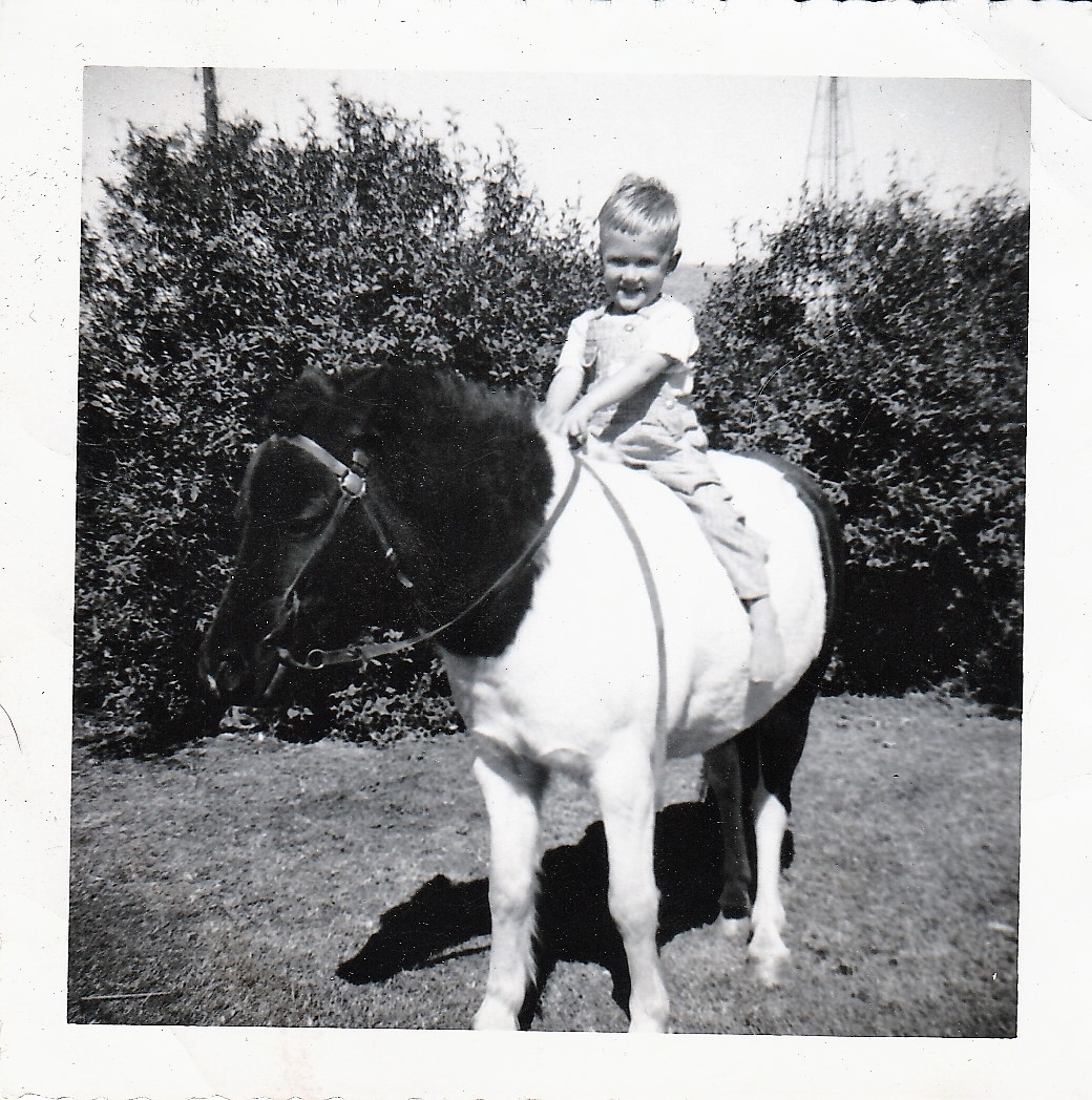 The Model Horse History Project: Nearly Lost Equine Images, Part One ...