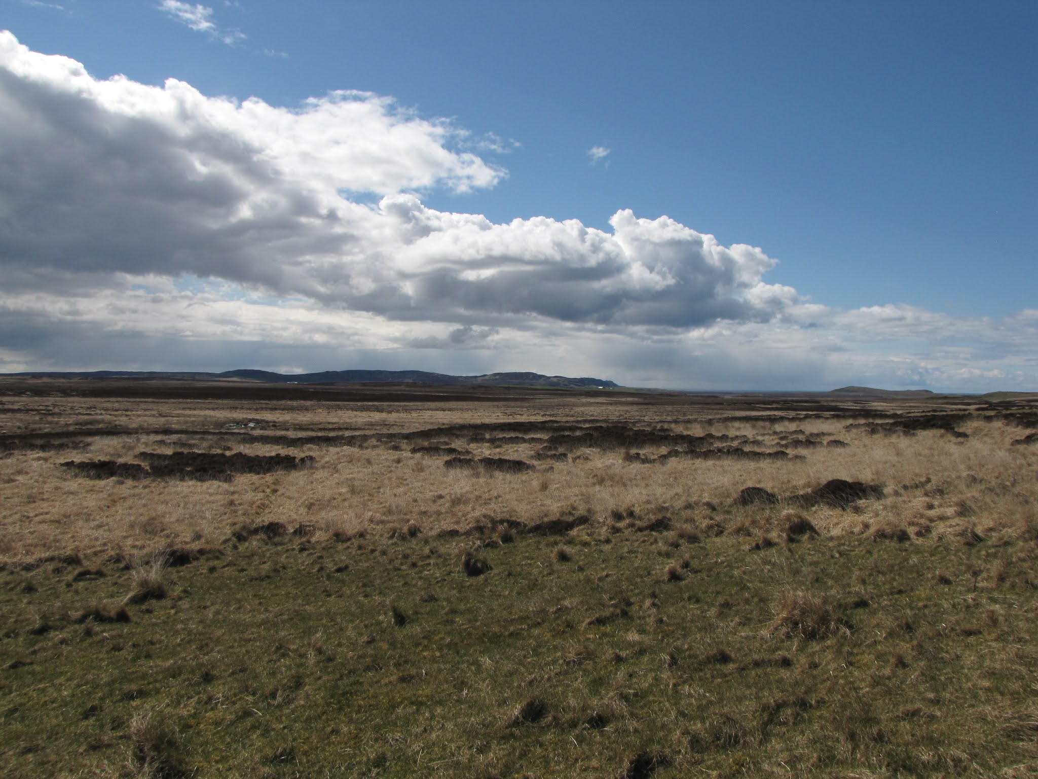 Islay Natural History Trust