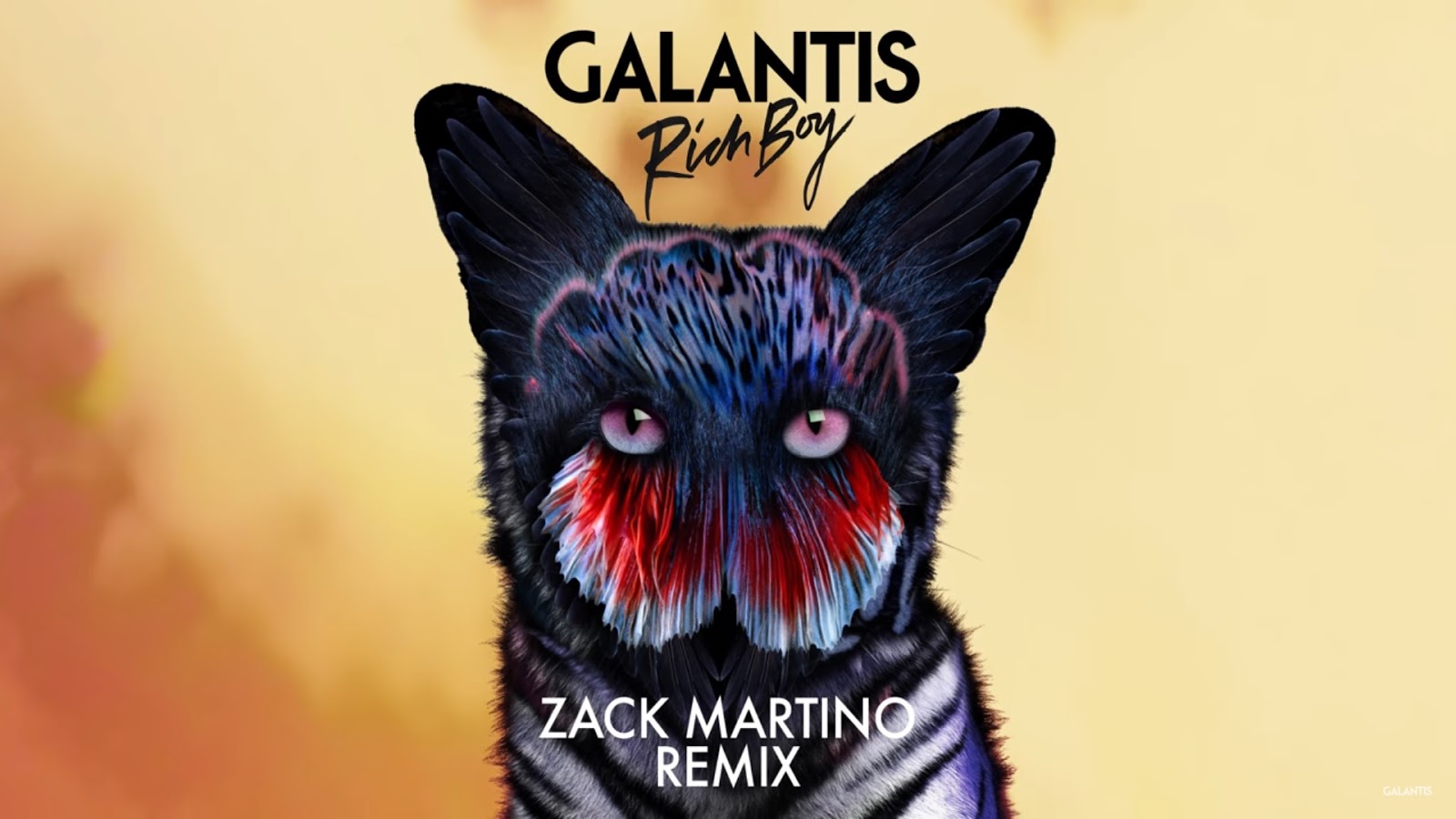 Galantis No Money Official Music Video 365 Days With Music The Best Make Money Online Sites