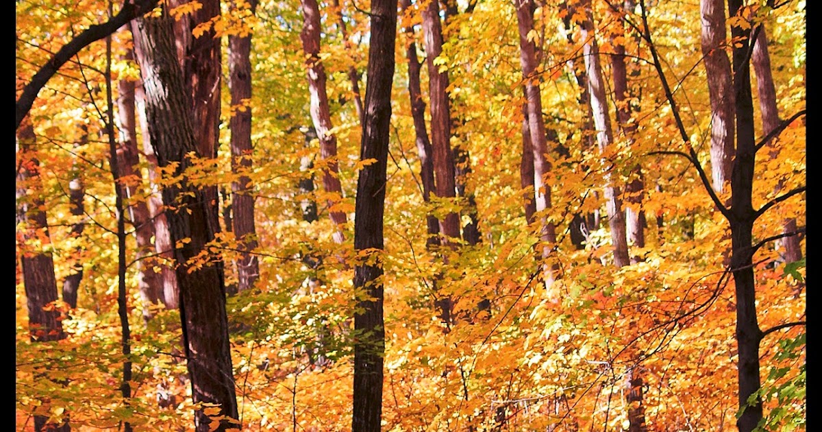 Home is the Country of the Heart: Stocking up on October