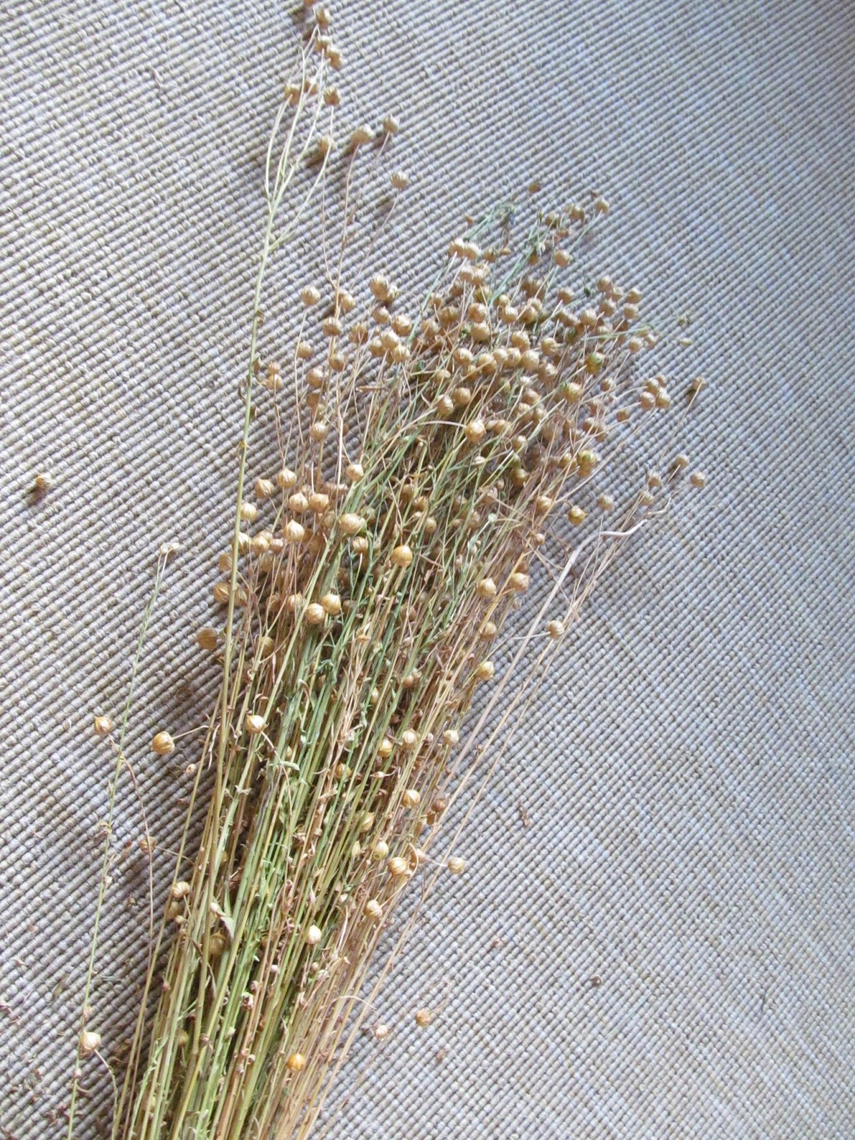 Trampled by Geese: Flax processing tools
