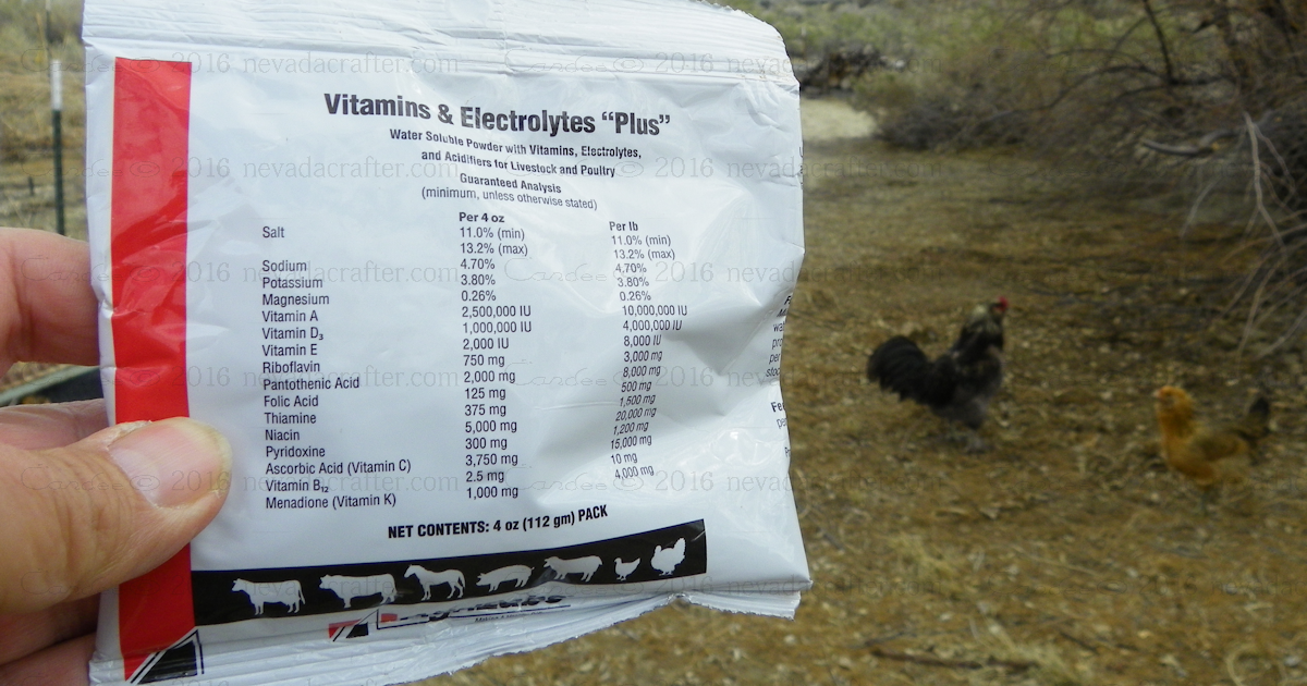 Poultry 44: Vitamins and minerals