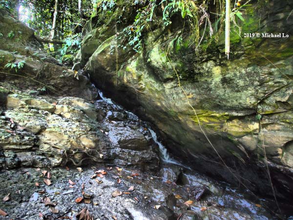The rainforests of Borneo & Southeast Asia: Visiting Baram river basin ...
