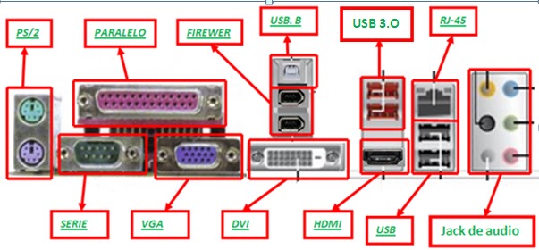 instalación y mantenimiento de redes : CONECTORES DEL PANEL TRASERO