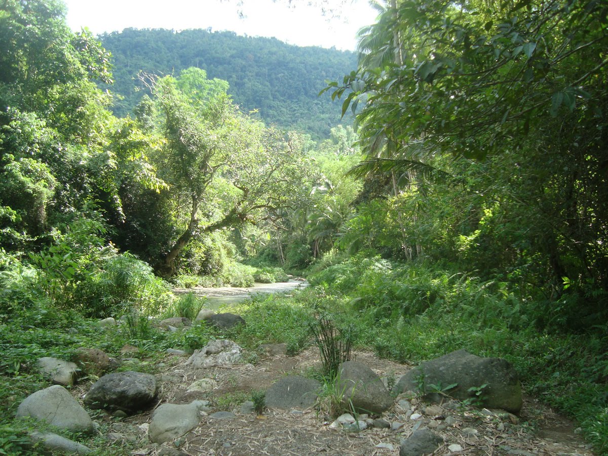 The Outdoor Guy: A No Non-Sense Guide from Mt. Manunggal to Brgy ...