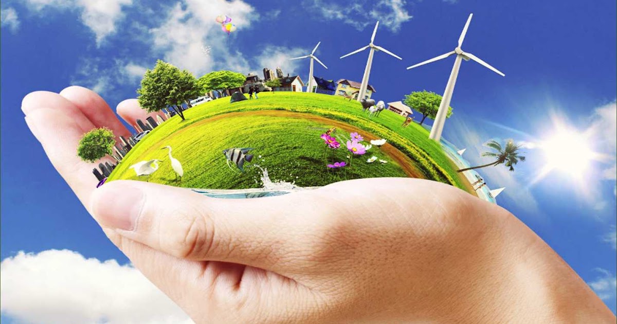 12 Importance Of Natural Resources Environment Go 