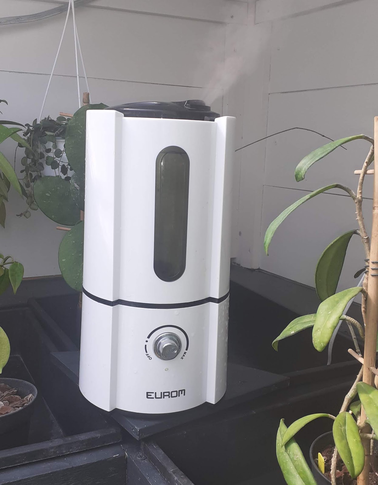 Gerrit's Hoya flowers: Luchtvochtigheid (humidity)