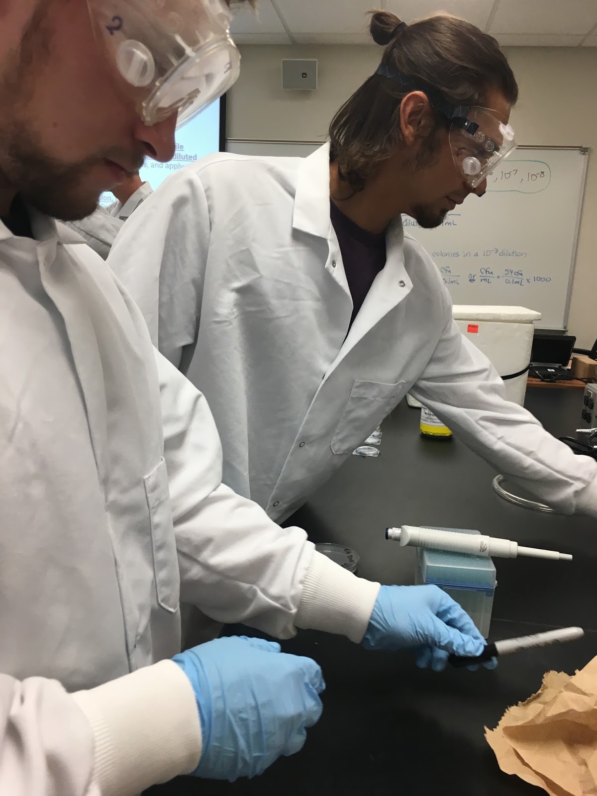 Lucas-Parmer: Lab #6 Coliform Determination by the Membrane Filter ...