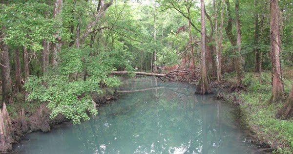 What is a Hush Harbor