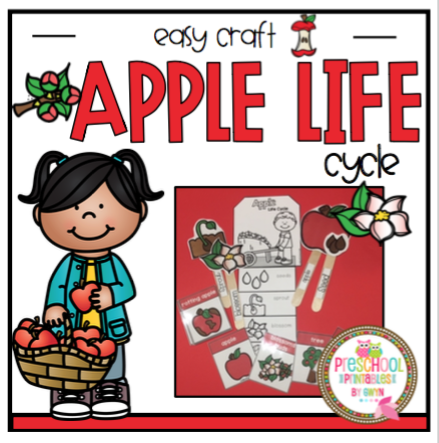 Apple Life Cycle Craft Easy ~ Preschool Printables
