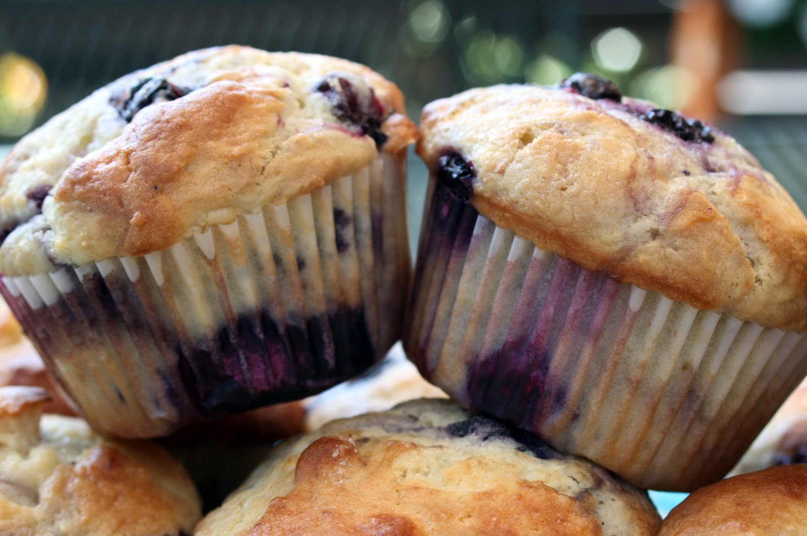 Food and Garden Dailies: Perfect Blueberry Muffins