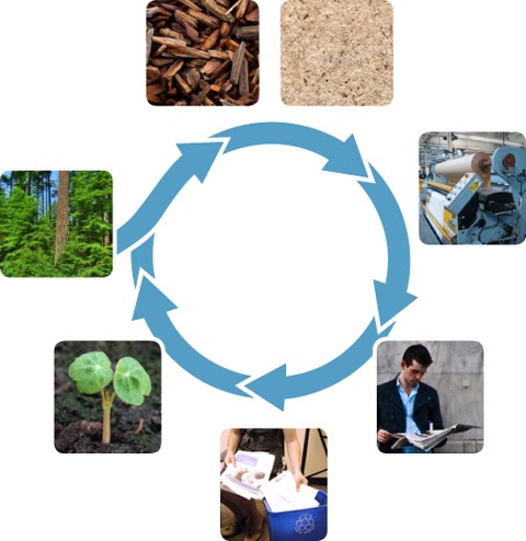 Bridging the Gap: From Tree to Paper