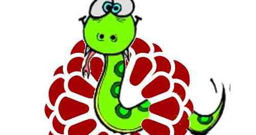 David Briddock: Learn Python on the Raspberry Pi
