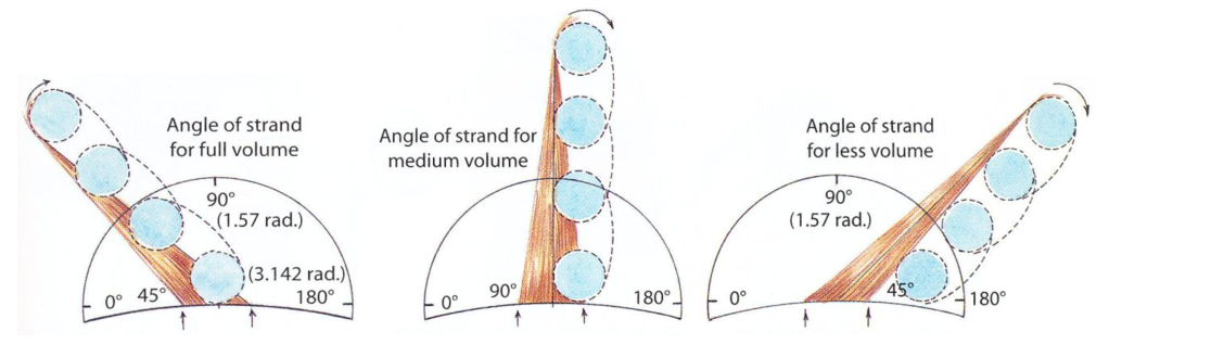 Miss Lixxie Lou: Foam Roller setting tips and tricks