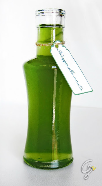 Low-Kcal Living!: Sciroppo di Menta Light 15 kcal per 100 grammi!!