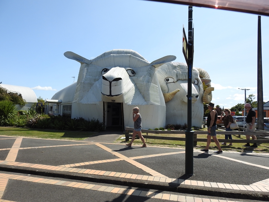 photographing New Zealand: Tirau