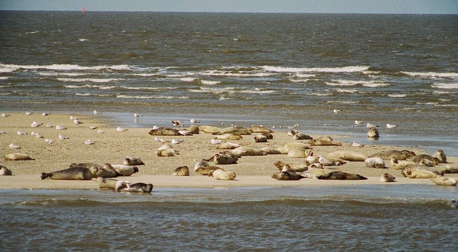 Willkommen in Polschland!
