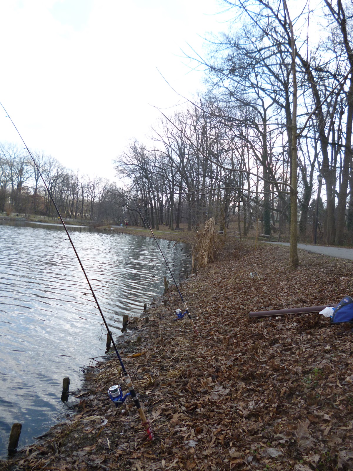 Extreme Philly Fishing: Fishing at Haddon Lake in NJ